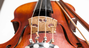 String Instruments – The Complete Guide – soundtrack.academy